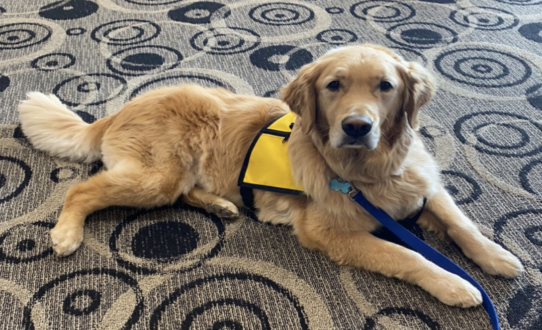 NDA Welcomes Edgar! - Notre Dame Academy